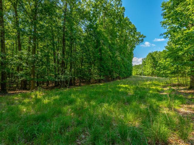 0 Deep Woods Road