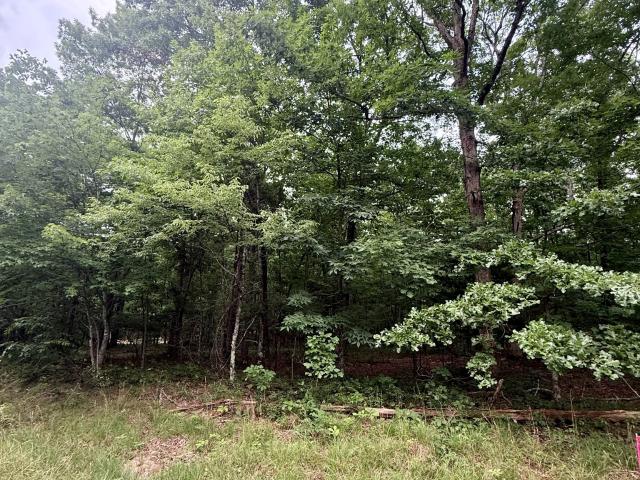 0 Deep Woods Road