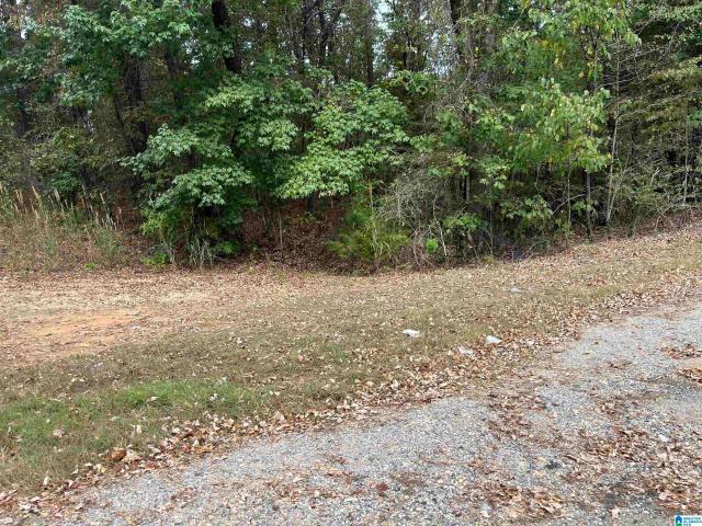 0 Deer Chase Road # 16