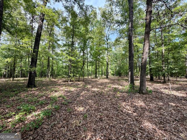 0 Deer Creek Trail LOT 12