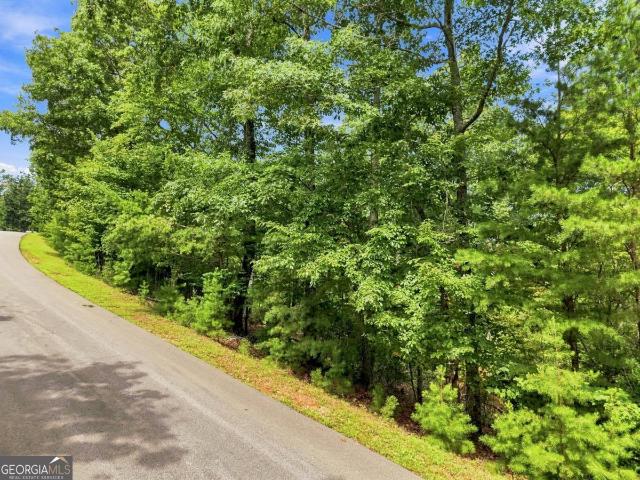 0 Deer Crest Road 22