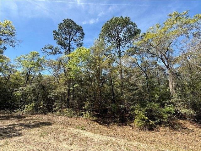 0 Deer Ct Lot 4, Waverly, GA 31565