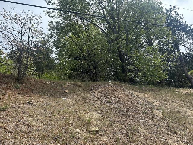 0 Deer Lick Ln, Running Springs, CA 92382 | MLS #IG26089