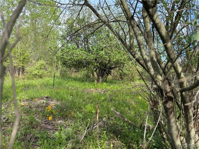 0 Deer Pond Acres Lot #38