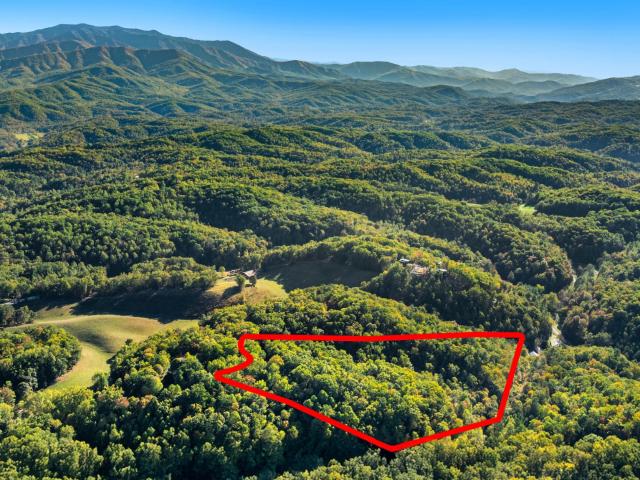 0 Deer Ridge Ln, Sevierville, TN 37876 | MLS #3288