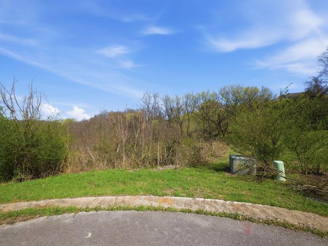 0 Deer Ridge Rd