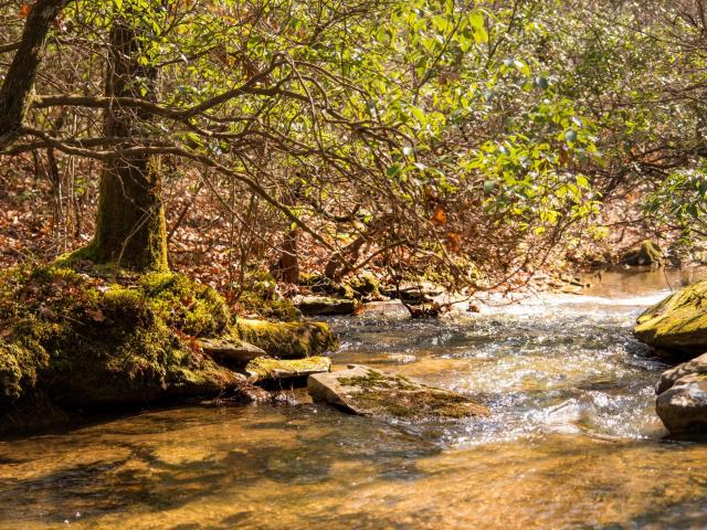 0 Deer Run Road