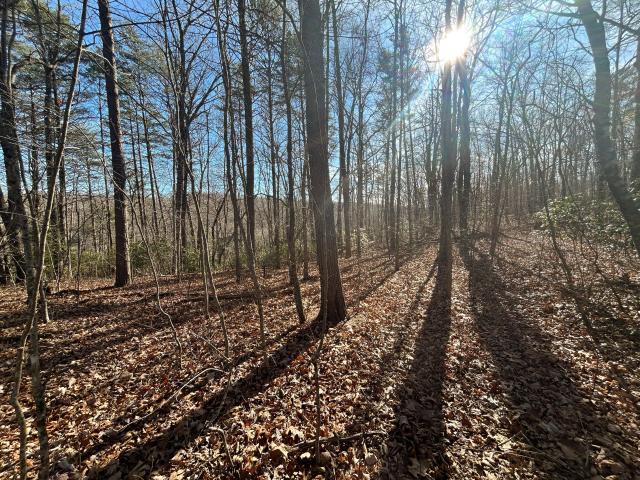 0 Deerhead Rd, Unit 5, Dunlap, TN 37327 | MLS #1526