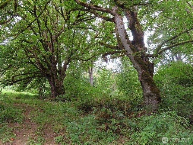 0 Del Ray Rd, Mossyrock, WA 98564