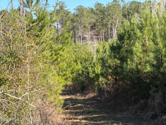 0 Delancey Rd, Braxton, MS 39044 | MLS #4143