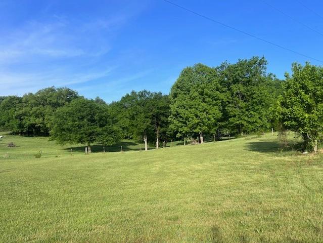 0 Delina Rd, Petersburg, TN 37144 | MLS #3179