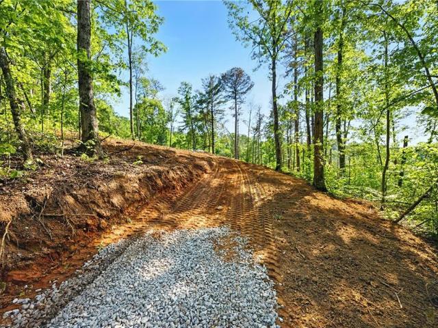 0 Dell Moore, Lot 3 Road