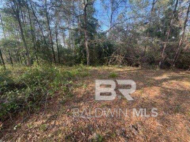 0 Delta Woods Drive