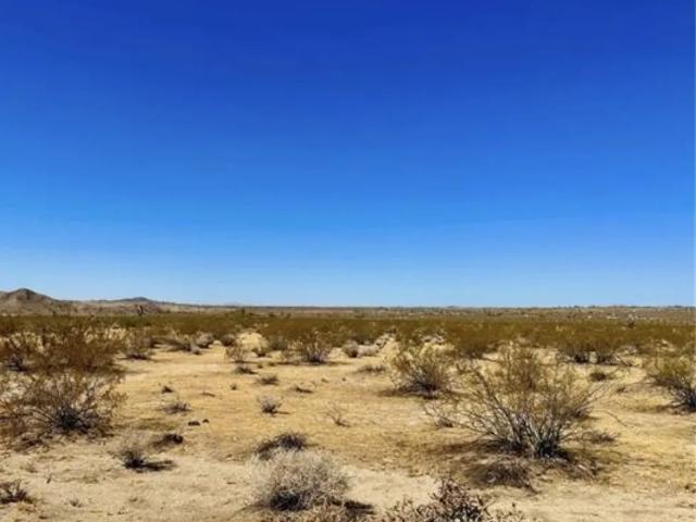 0 Dennis, Joshua Tree, CA 92252 | MLS #CV25180