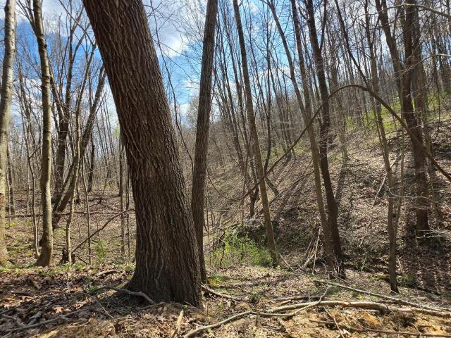 0 Dennis Road # Tract 1 at Muskingum Woods