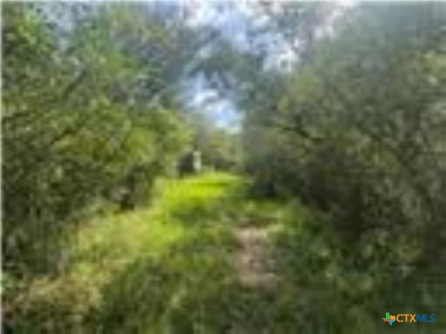 0 Dewberry Lane