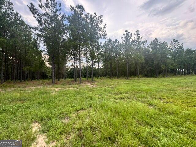 0 Dewey Thomas Rd