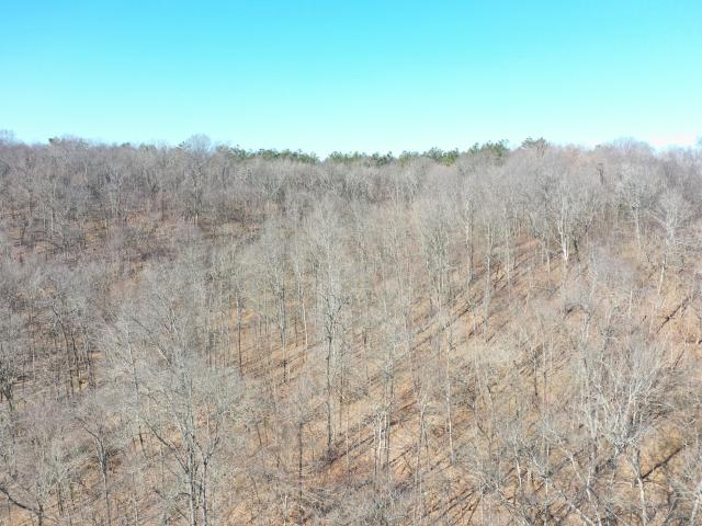 0 Dog Branch Rd