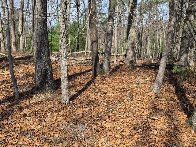 0 Dogwood Ln, Bentonville, VA 22610 | Compass
