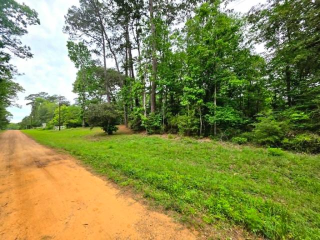 0 Dogwood Lake Drive