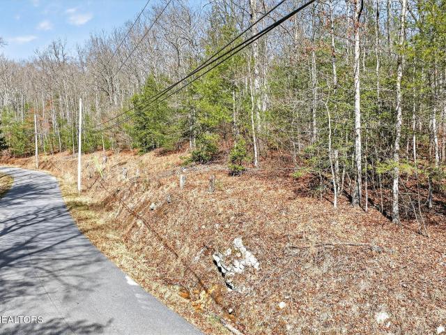 606 Dogwood Rd
