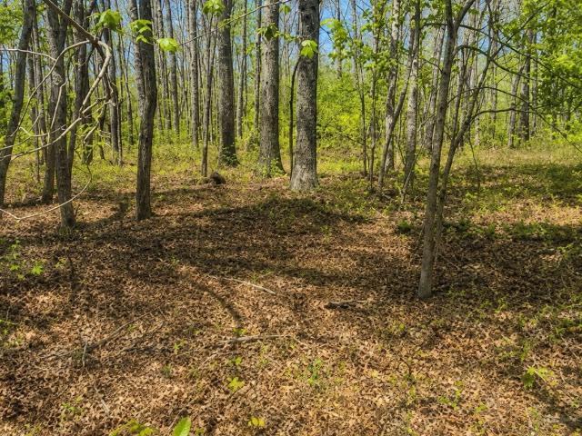 0 Doe Creek Lake Dr