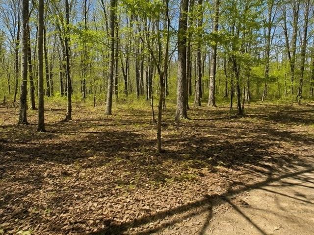 0 Doe Creek Lake Dr