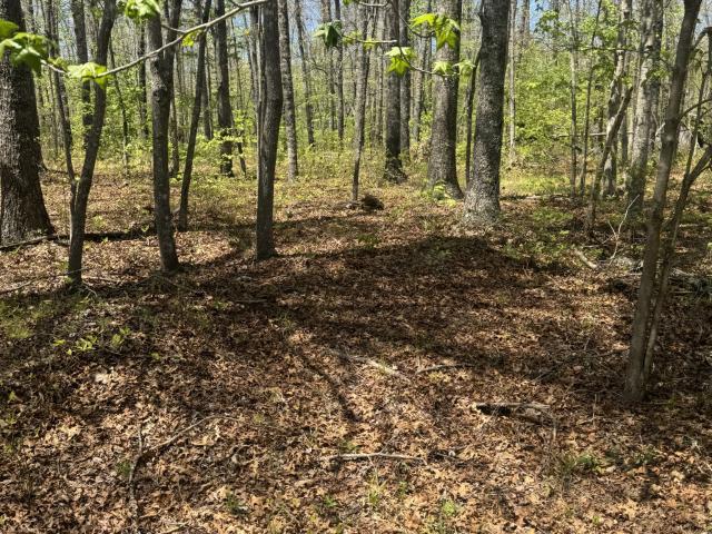 0 Doe Creek Lake Dr