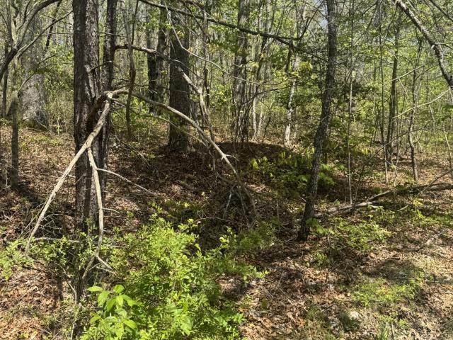 0 Doe Creek Lake Dr