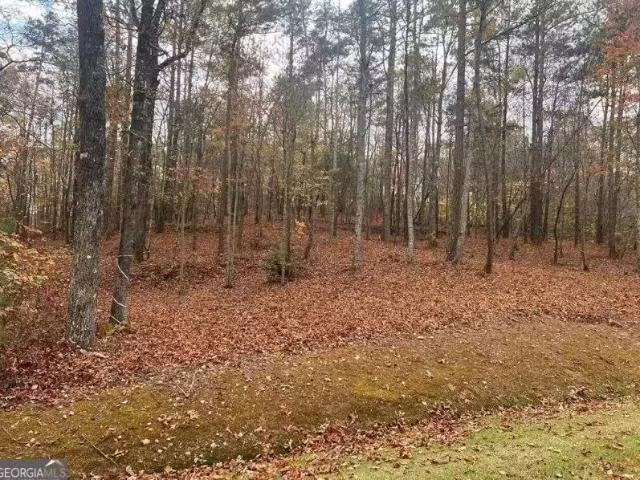 0 Doll Mountain Rd #43, Ellijay, GA 30540 MLS 10408401