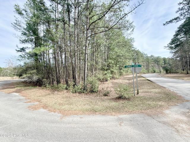 0 Doris Dr, Oriental, NC 28571 | MLS #100560