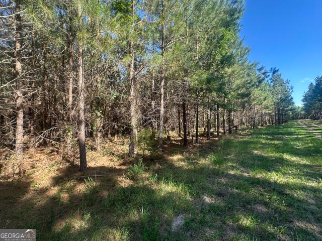 0 Dorsey Clark Rd, Sylvania, GA 30467 | MLS #10782
