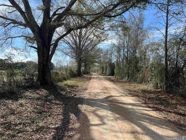 0 Dougherty Ln, Jackson, LA 70748 | MLS #BR2026001