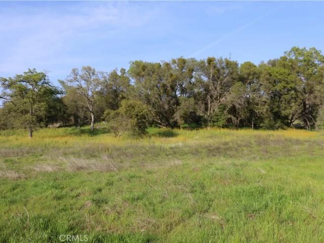 0 Douglas Rd, Coarsegold, CA 93614 | MLS #FR26032