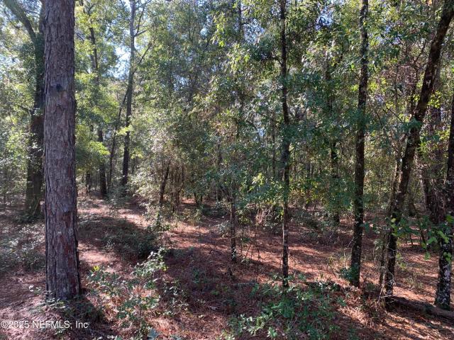 0 Drayton Ave, Interlachen, FL 32148 | MLS #2114 | Compass