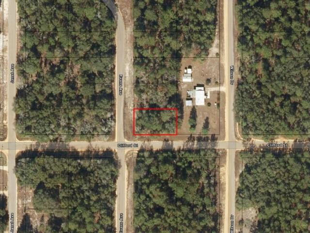0 Evans Ave, Interlachen, FL 32148 | MLS #F10521