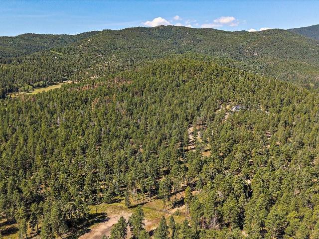 0 Evergreen Dr, Conifer, CO 80433 | MLS #4930
