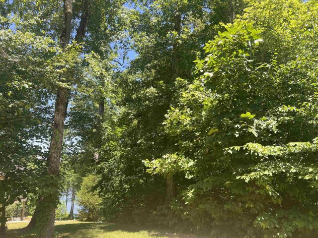 0 Excalibur Trail, Cedar Grove, TN 38321 | MLS #242625 | Compass