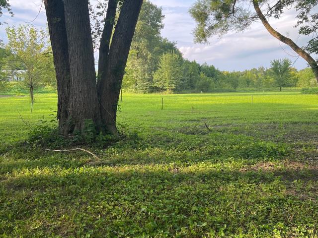 0 E 266th St, Arcadia, IN 46030 | MLS #22081