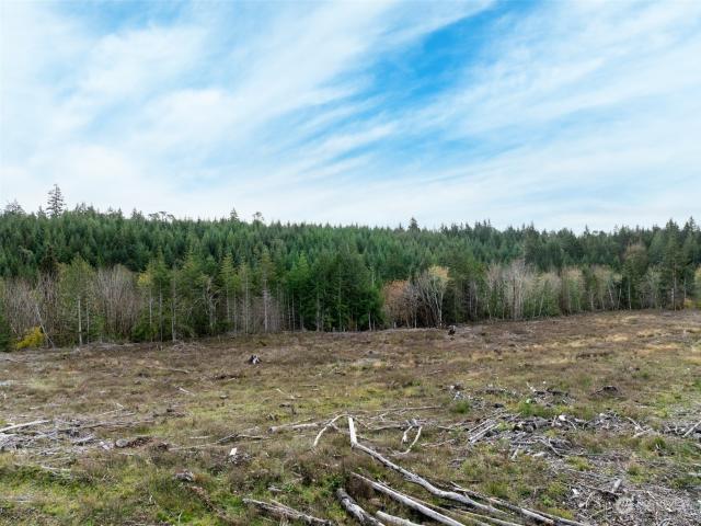 0 E Cottonwood Dr, Unit 40, Shelton, WA 98584 | MLS #2308