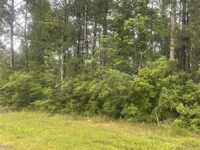 0 E Allen Dr E, Ragley, LA 70657 | MLS #SWL23002 | Compass