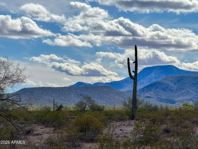 0 E Almendra Rd. Lot E 1.67 Acre #