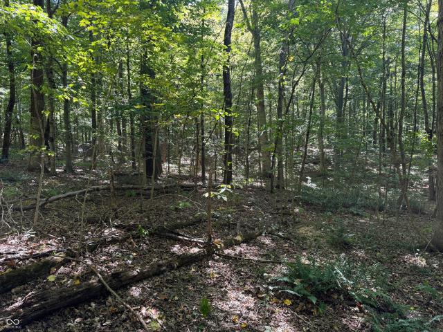 0 E Big Springs Rd, Pekin, IN 47165 | MLS #22075 | Compass