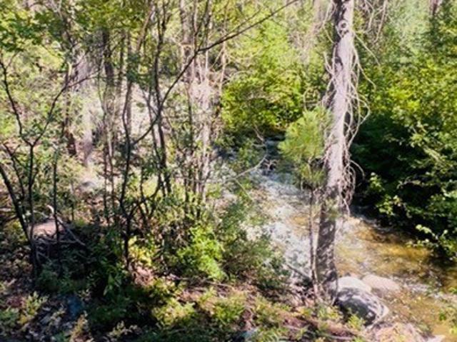 0 E Buttermilk Creek Road