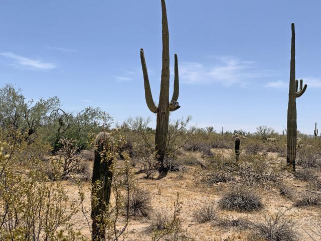 0 E Mayfield Rd, Unit VWXY, Florence, AZ 85132 | MLS #7021