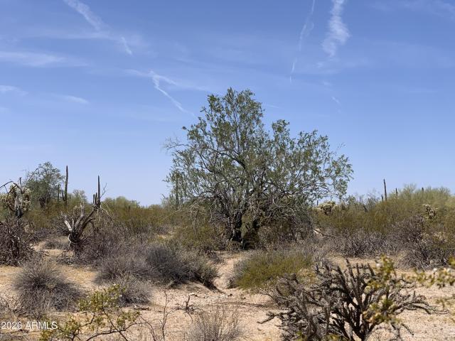0 E Mayfield Rd, Unit X, Florence, AZ 85132 | MLS #7021