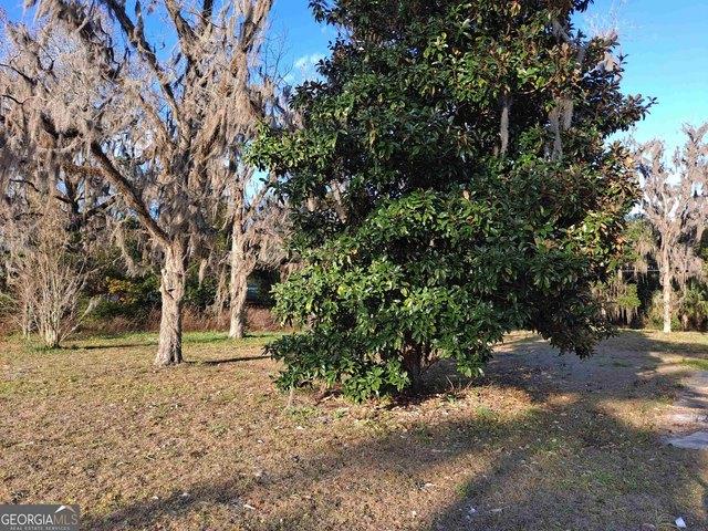 0 E Martin St, Folkston, GA 31537