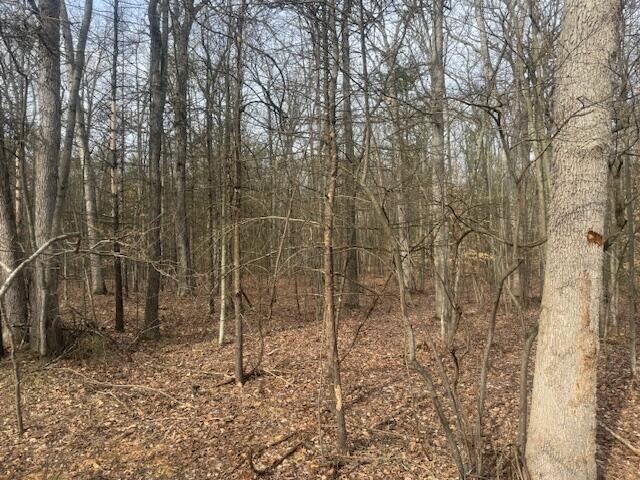 0 E Meinert Road