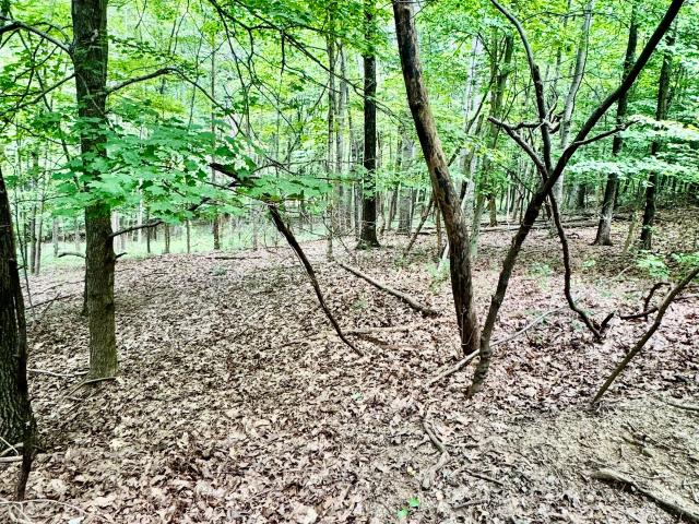 0 E Parkwood Drive