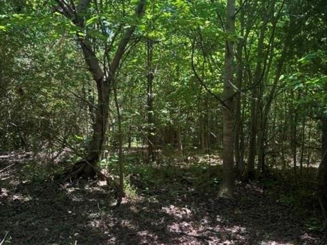0 E Pine Hill Avenue
